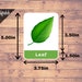 Parts of a LEAF 6 Cards Flash Cards Montessori Cards Homeschooling ...