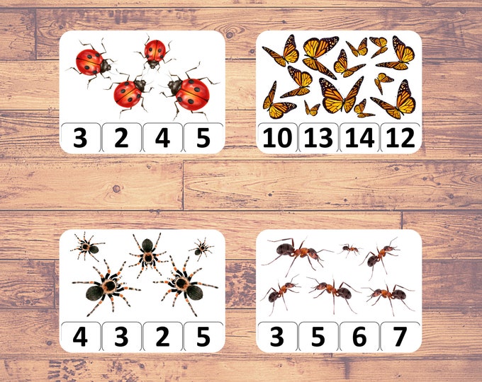 Counting Insects Bugs Clip Cards • Montessori Math Printable (1-20 ...