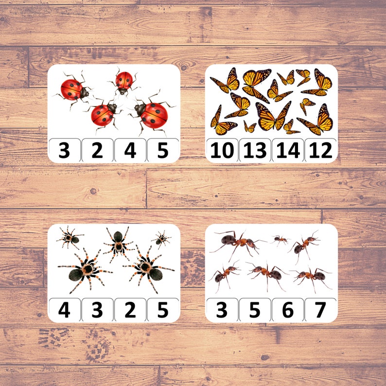Counting Insects - Counting Clip Cards | Math | Montessori ...