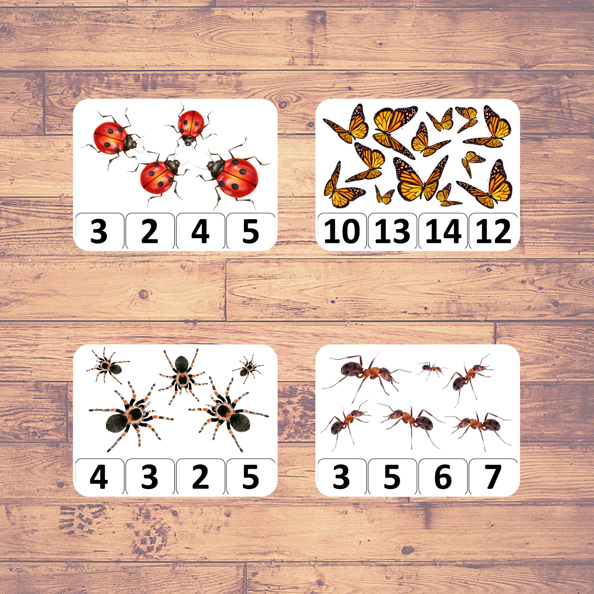 Counting Insects - Counting Clip Cards | Math | Montessori ...