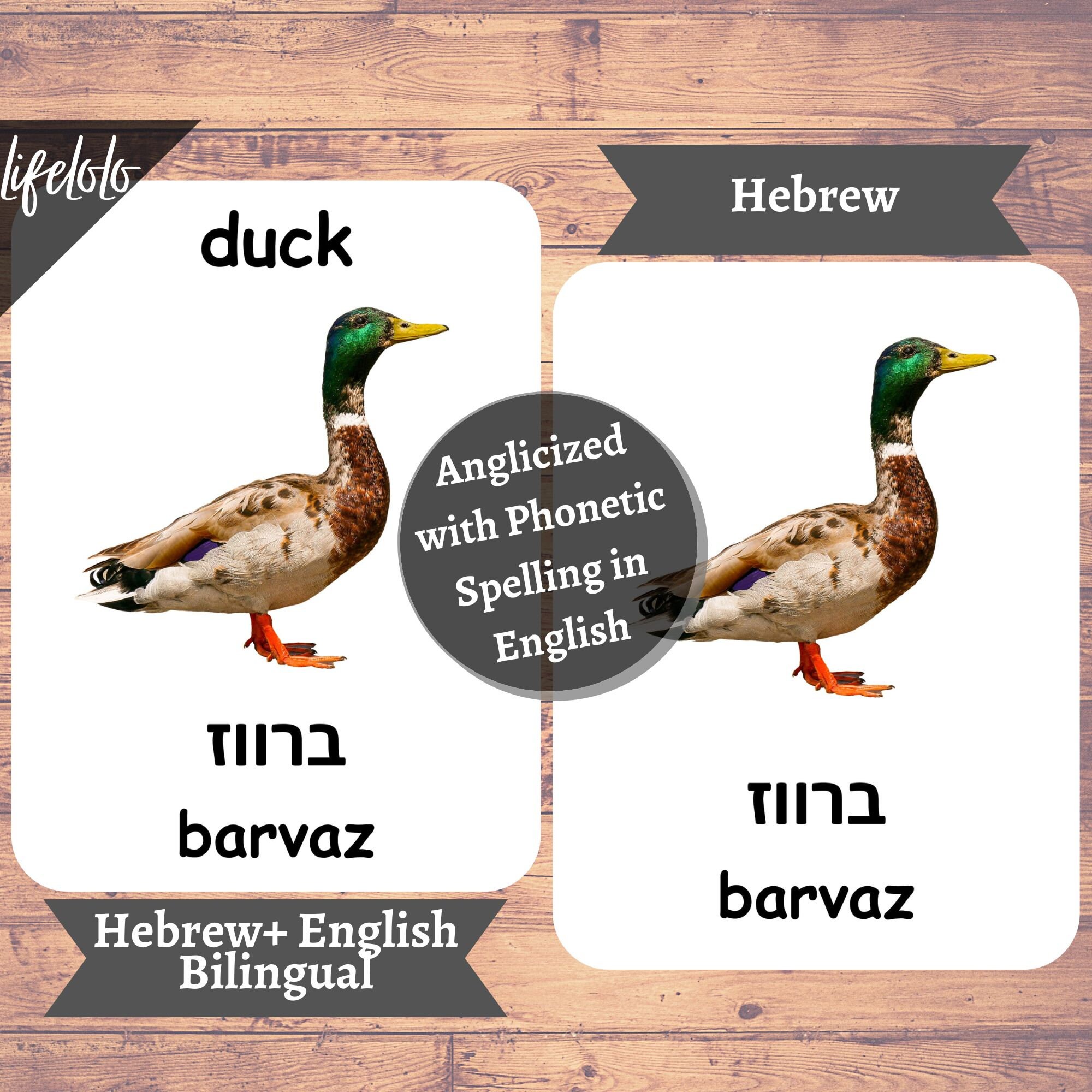 Farm Animals | HEBREW | English Bilingual Cards | 27 Hebrew Flash Cards ...