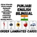 Punjabi Flash Cards, Printed Laminated Flashcards in Punjabi and ...