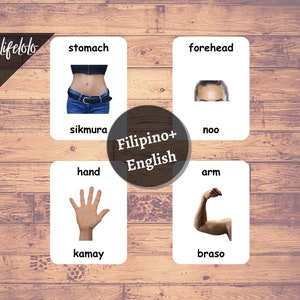 Body Parts (real) | FILIPINO| English Bilingual Cards | 24 Tagalog ...