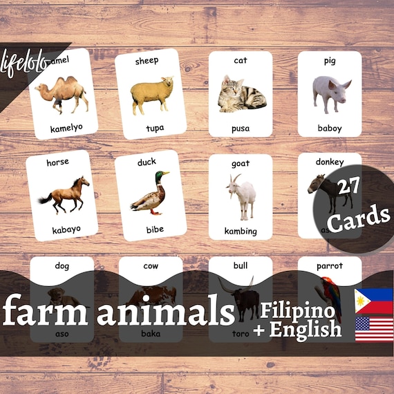 Farm Animals FILIPINO English Bilingual Cards 27 Tagalog | Etsy