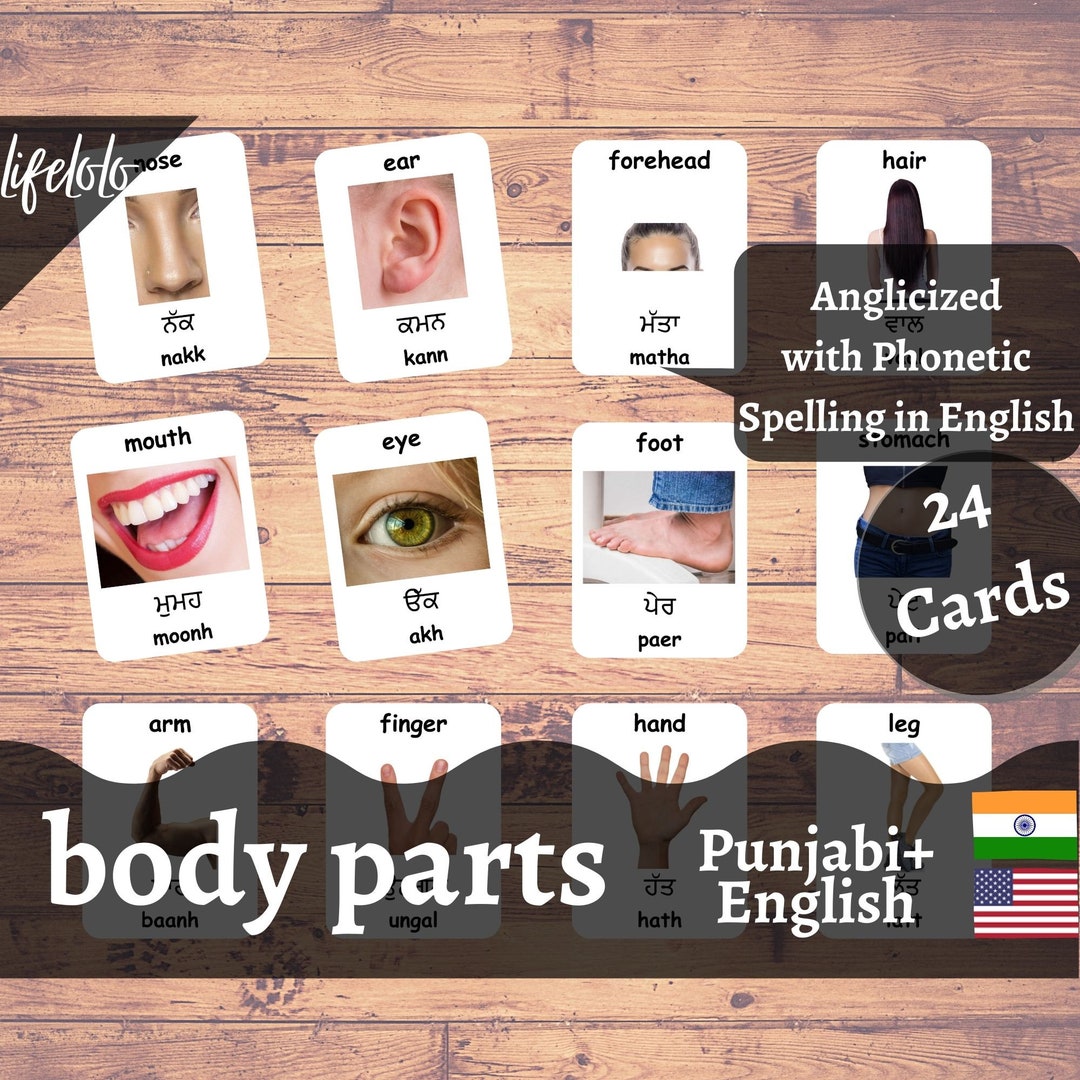 Body Parts (real) | PUNJABI | English Bilingual Cards | 24 Punjabi ...