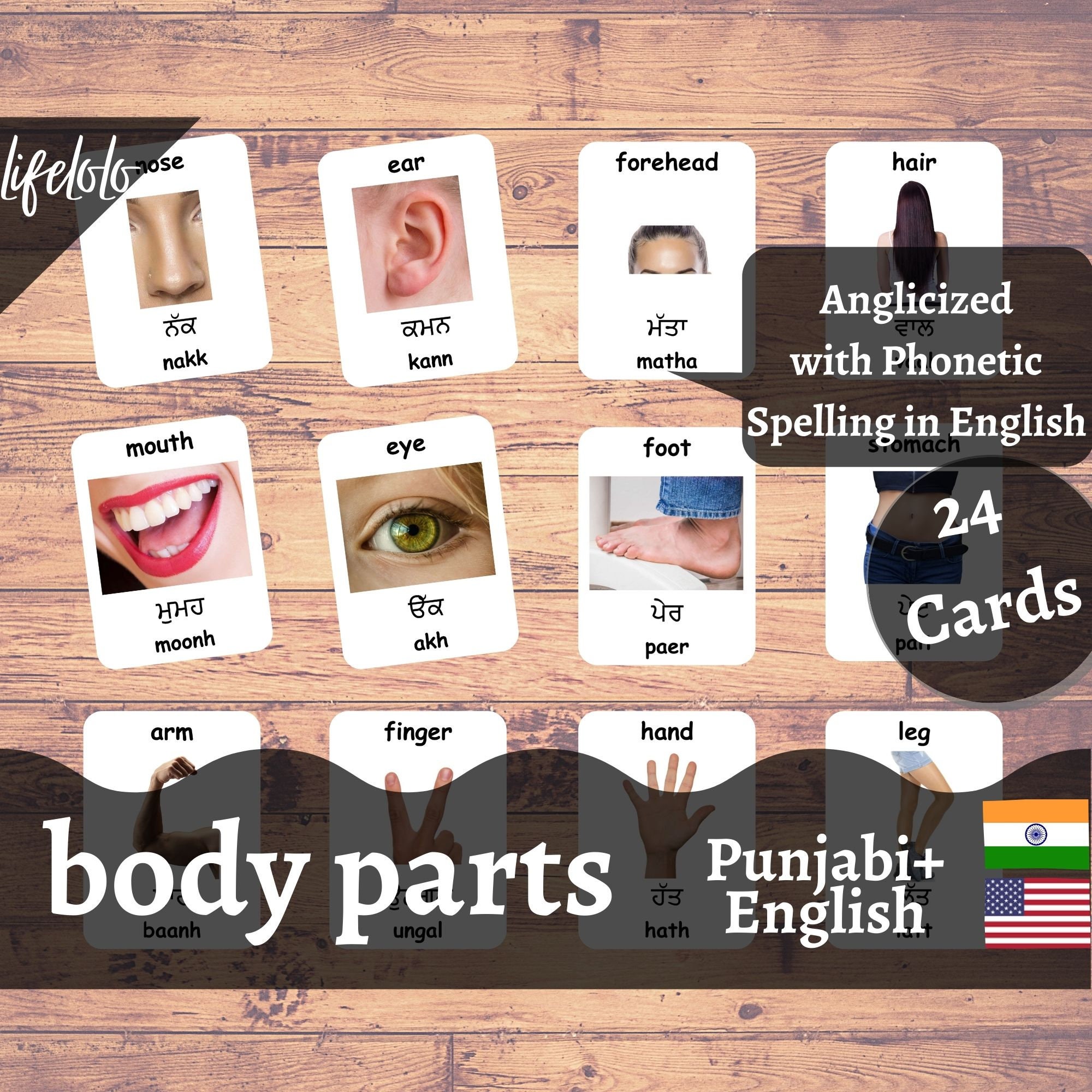 Body Parts real PUNJABI English Bilingual Cards 24 - Etsy