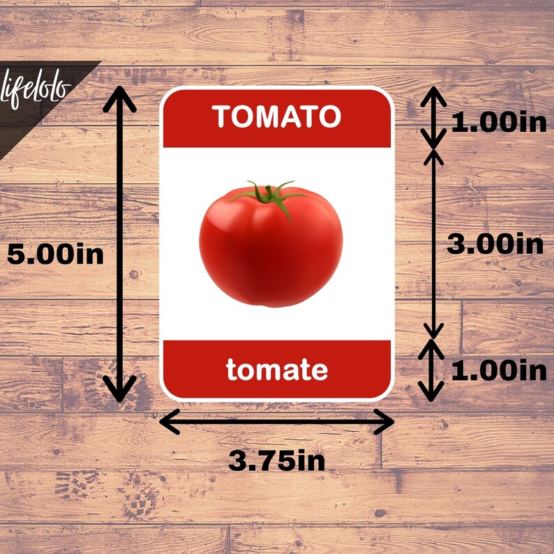 Vegetables SPANISH Printable Bilingual English Spanish Real - Etsy