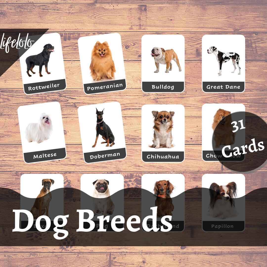 Dog Breeds Flash Cards - 31 Cards | Montessori Material | Homeschooling ...