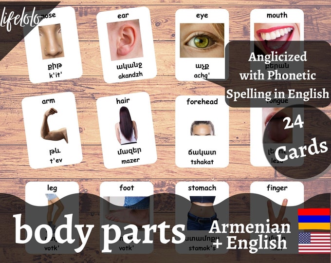 Body Bundle Anatomy Printable Learn Body Parts My Skeleton My Organs 5 ...