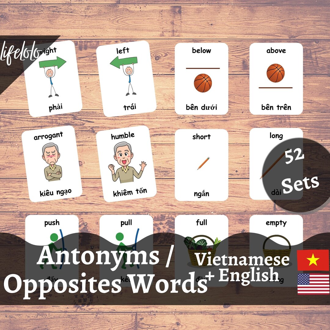 Antonyms Vietnamese Flashcards, English Bilingual Cards, 104 Opposite ...