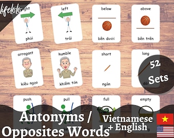 Vietnamese English Flash Cards - Etsy