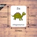 Dinosaur Alphabets | 26 Flash Cards | English Alphabets, Montessori ...
