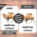 Farm Animals | UKRAINIAN Flash Cards, English Bilingual Cards ...