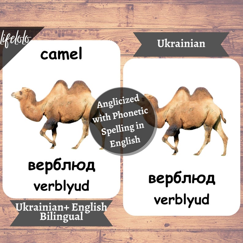Farm Animals UKRAINIAN Flash Cards English Bilingual Cards | Etsy