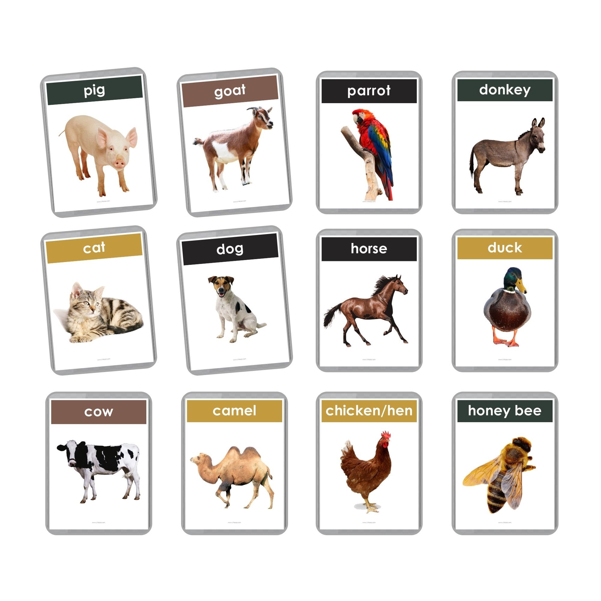 Printed Laminated Cards Farm Animals real Images - Etsy