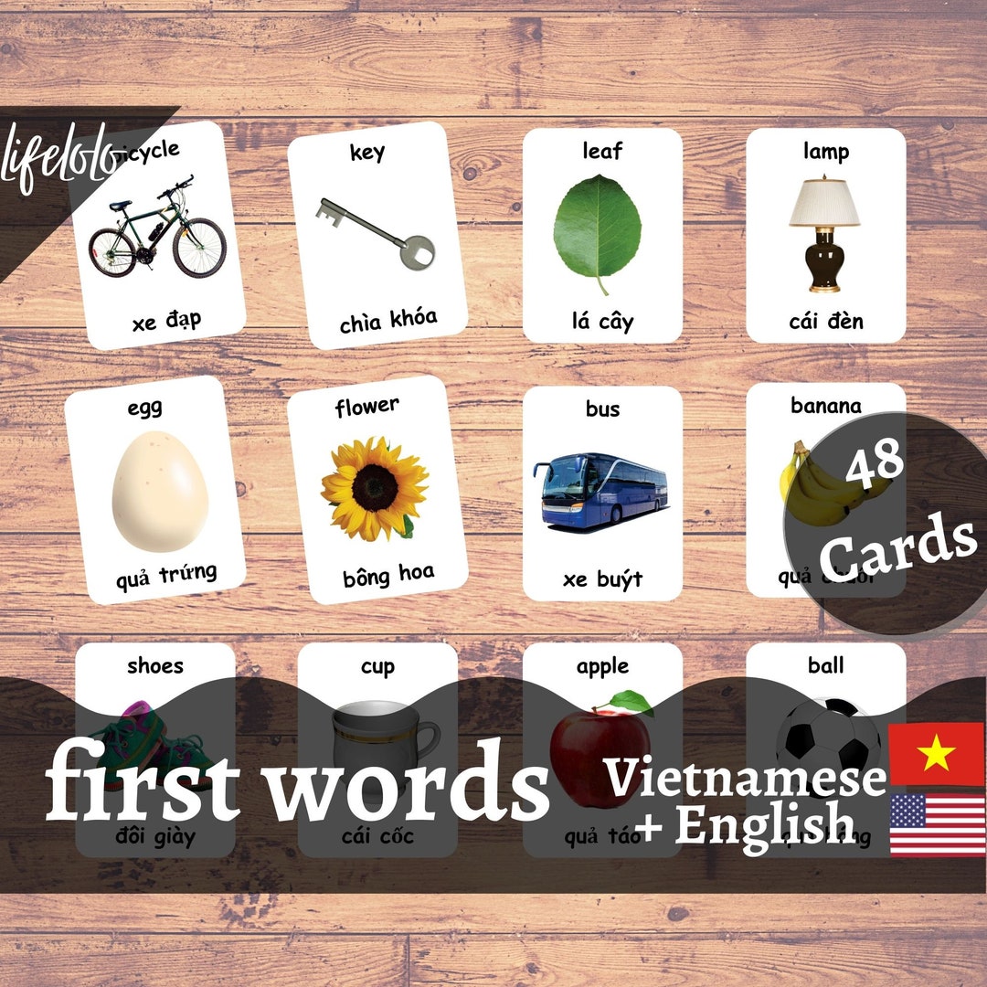 First Words VIETNAMESE Version - English Bilingual Cards | 48 Flash ...