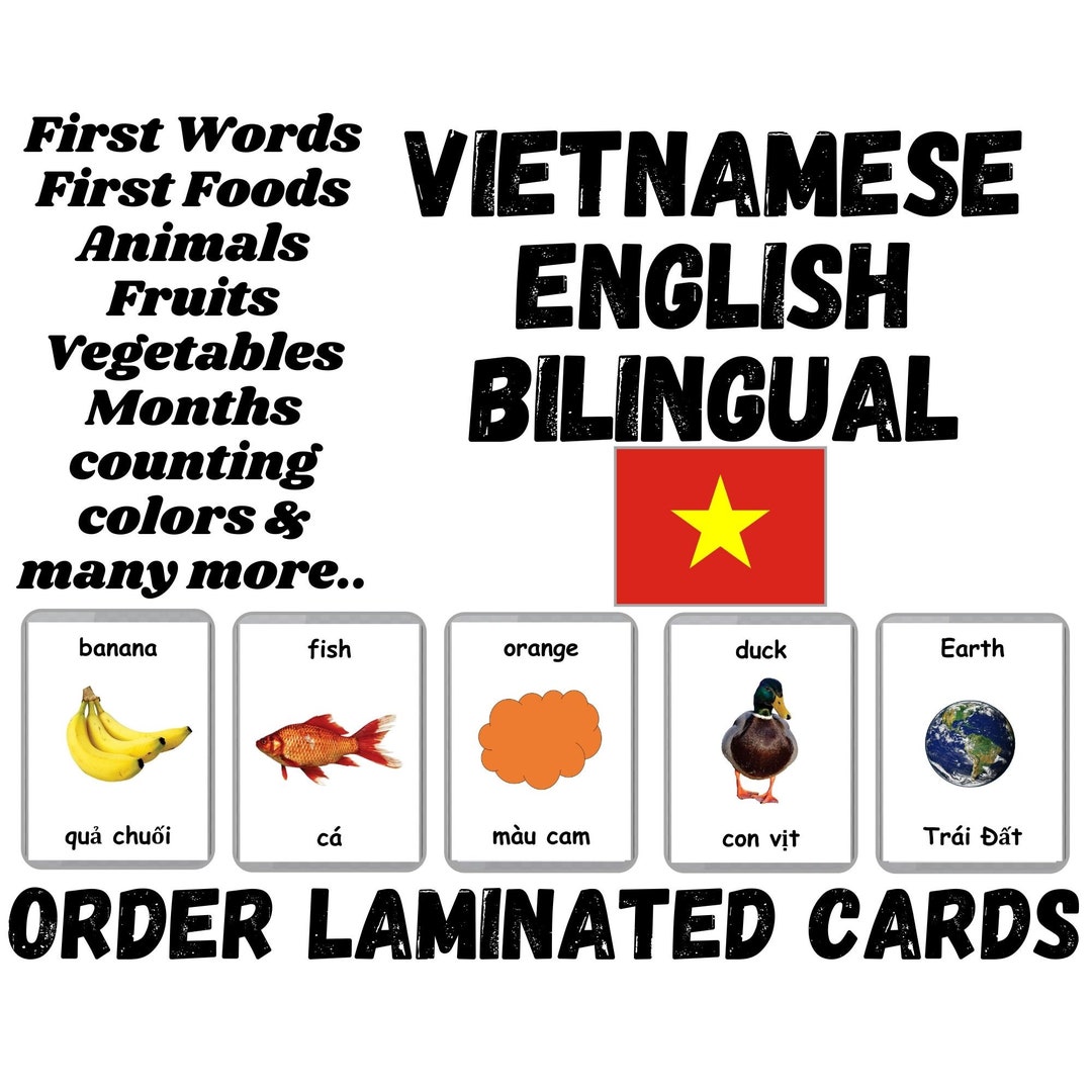 Vietnamese Laminated Flash Cards | Handmade Flash Cards | Laminated ...