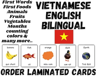 Vietnamese English Flash Cards - Etsy