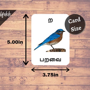 Tamil Alphabets With Words Flash Cards, English Pronunciation ...