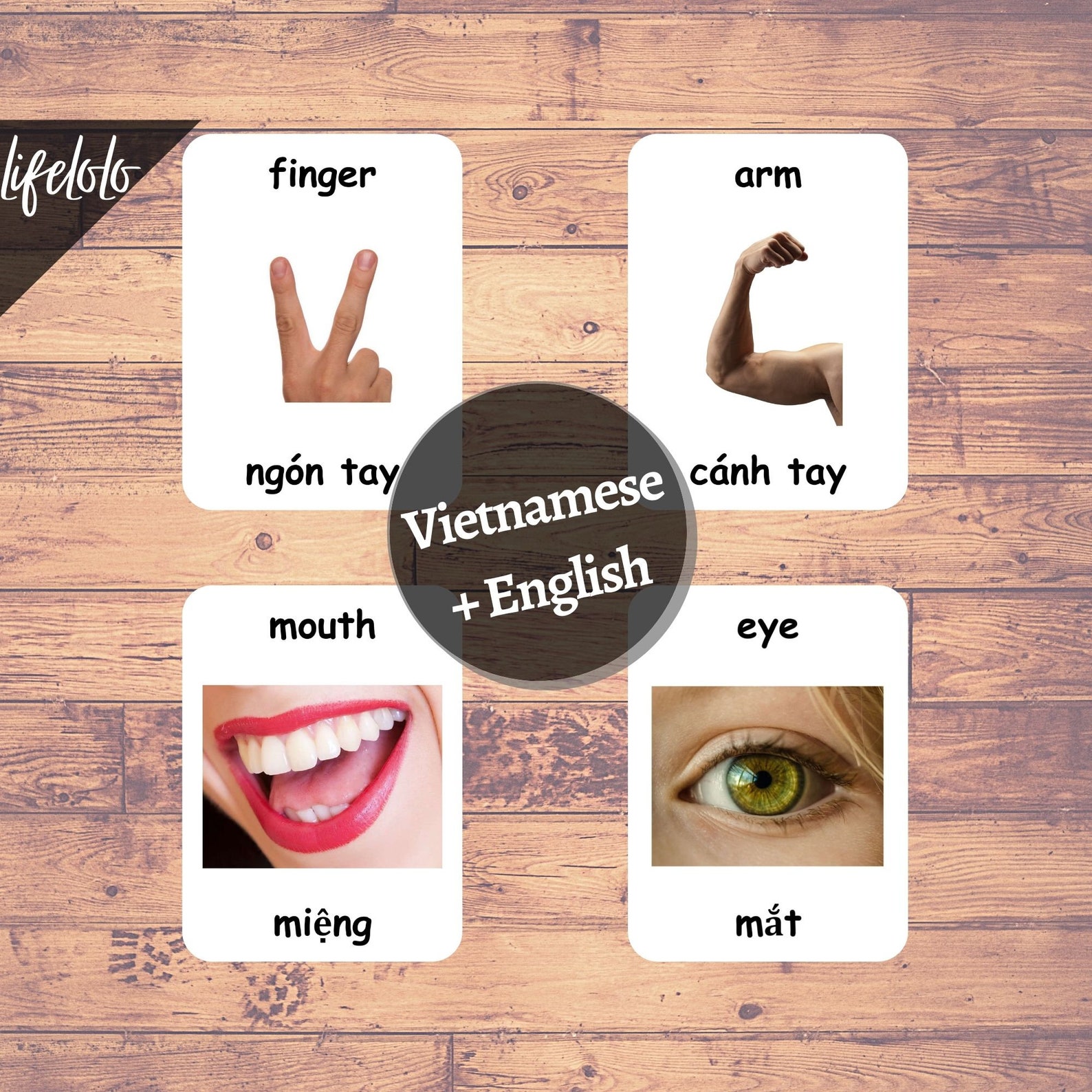 Body Parts (real) | VIETNAMESE | English Bilingual Cards | 24 ...