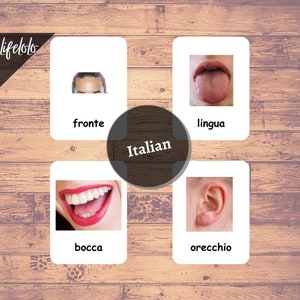 Body Parts (real) | ITALIAN | English Bilingual Cards | 24 Italian ...