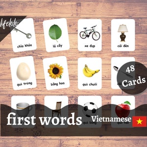 First Words VIETNAMESE Version - English Bilingual Cards | 48 Flash ...