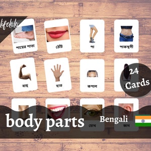 Body Parts (real) | BENGALI | English Bilingual Cards | 24 Bengali ...