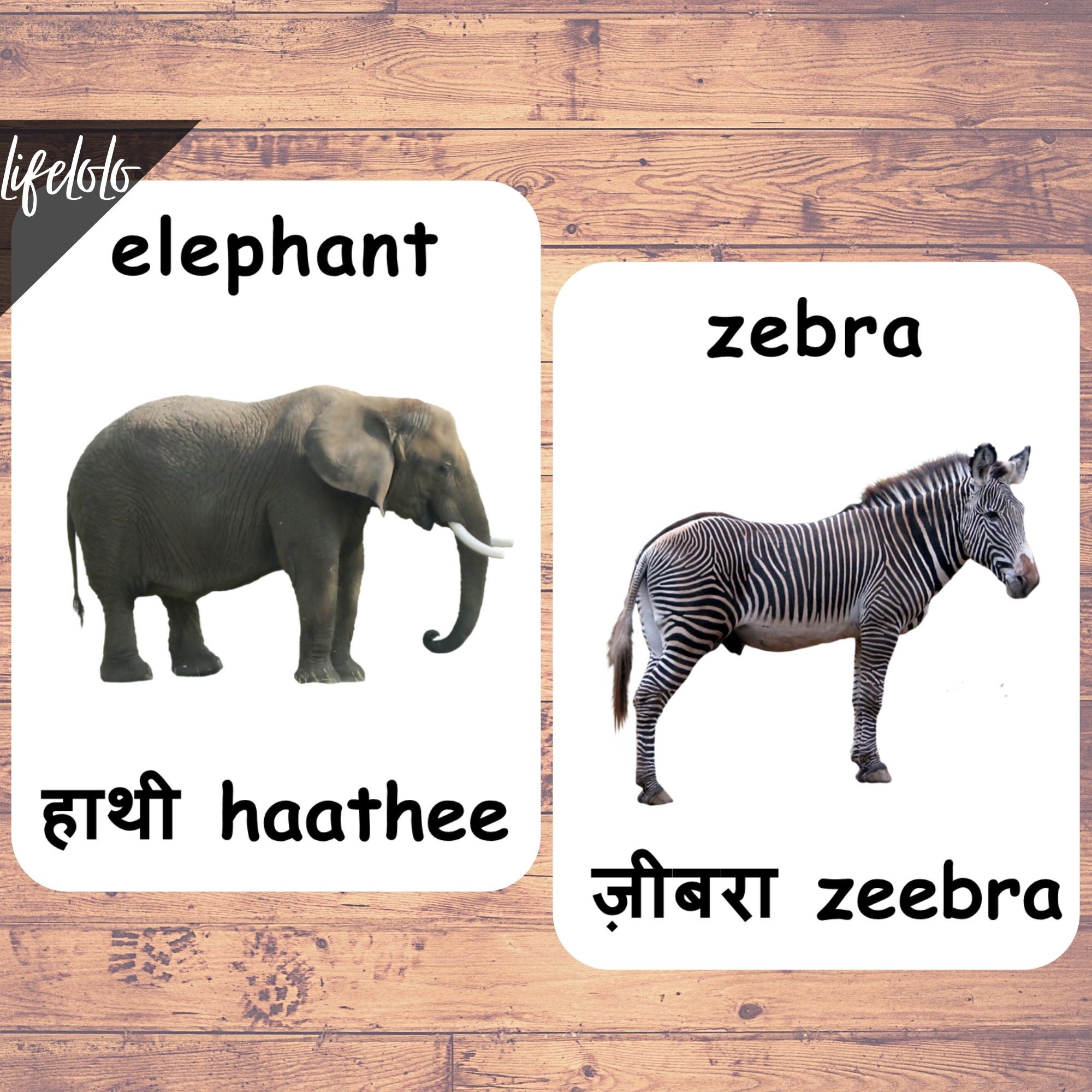 Wild Animals HINDI Version - English Bilingual Cards | 41 Hindi Flash ...