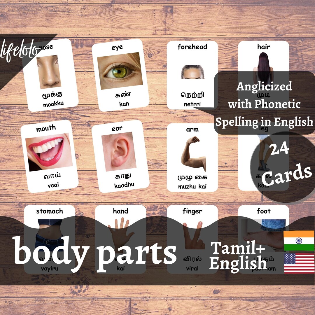 Body Parts (real) | TAMIL | English Bilingual Cards | 24 Tamil Flash ...