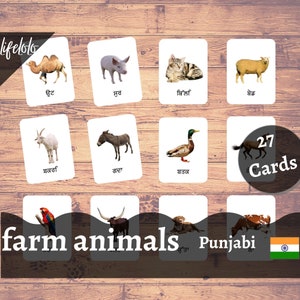 Farm Animals | PUNJABI | English Bilingual Cards | 27 Punjabi Language ...