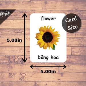 First Words VIETNAMESE Version - English Bilingual Cards | 48 Flash ...