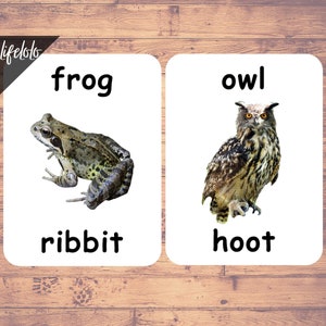 Animal Sounds Flash Cards, Montessori Cards, Nursery Printable, 3 Part ...