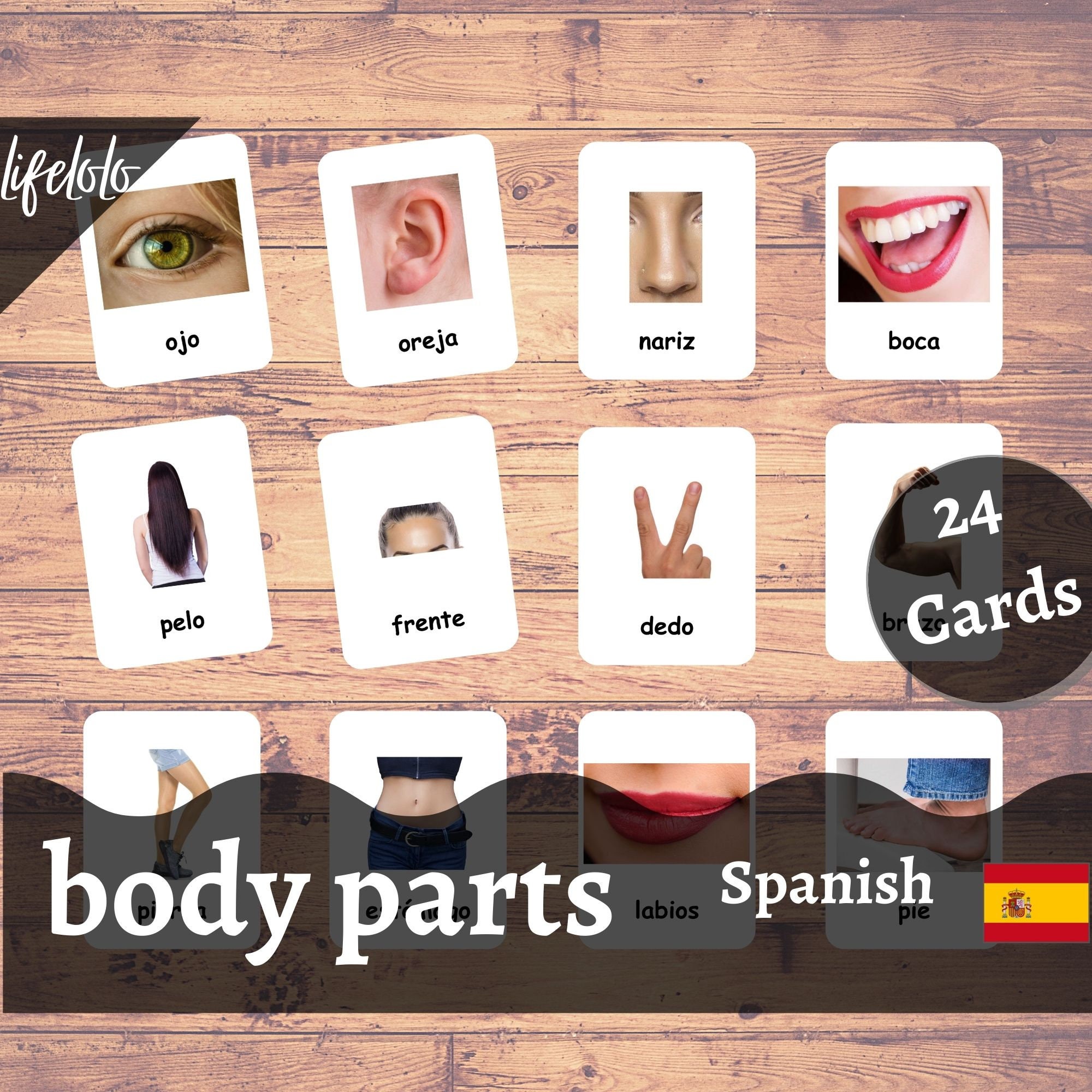 Body Parts real SPANISH English Bilingual Cards 24 - Etsy