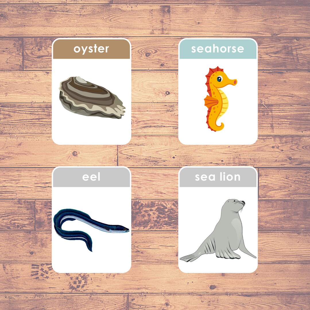 Sea Animals - Flashcards | Montessori | Homeschooling | Educational ...