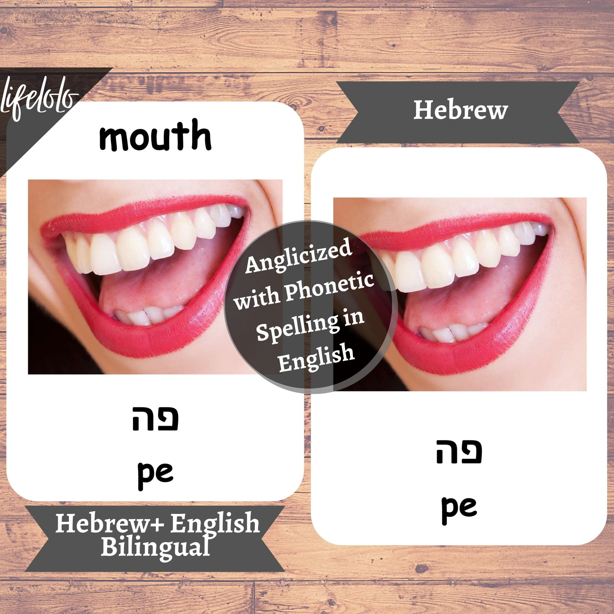 Body Parts real HEBREW English Bilingual Cards 24 - Etsy