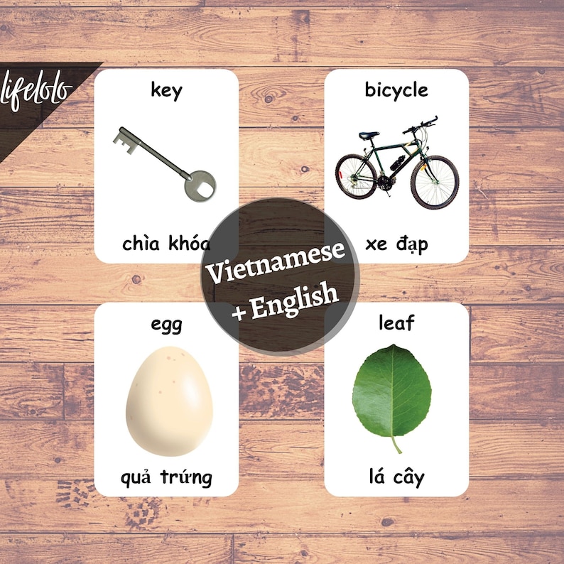 First Words VIETNAMESE Version - English Bilingual Cards | 48 Flash ...