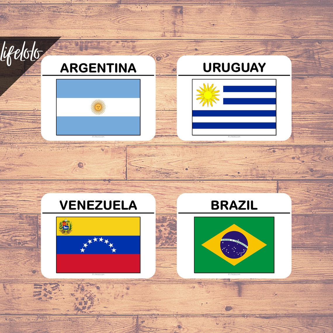 SOUTH AMERICA FLAGS 12 Flash Cards Montessori Cards - Etsy