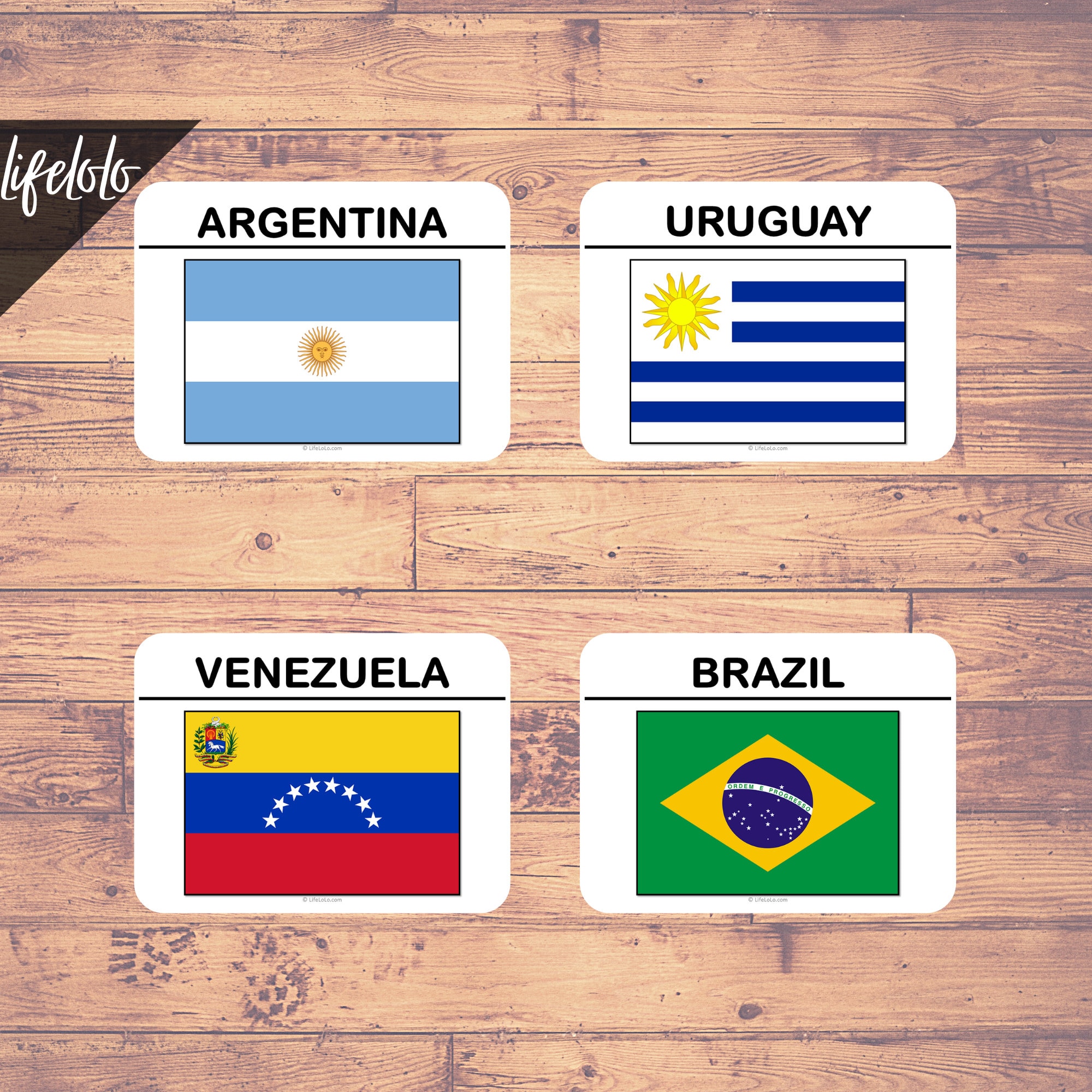 SOUTH AMERICA FLAGS 12 Flash Cards Montessori Cards - Etsy