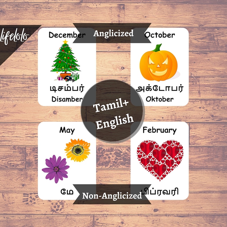 Months of the Year TAMIL Flash Cards 12 Bilingual Cards - Etsy