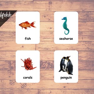 Sea Animals Real Pictures - 26 Ocean Animals Flash Cards | Montessori ...