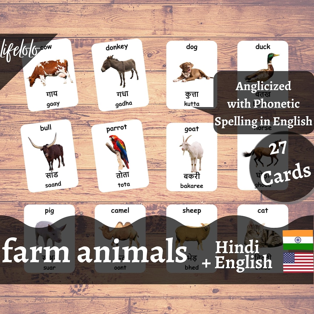 Farm Animals | HINDI | English Bilingual Cards | 27 Hindi Flash Cards ...