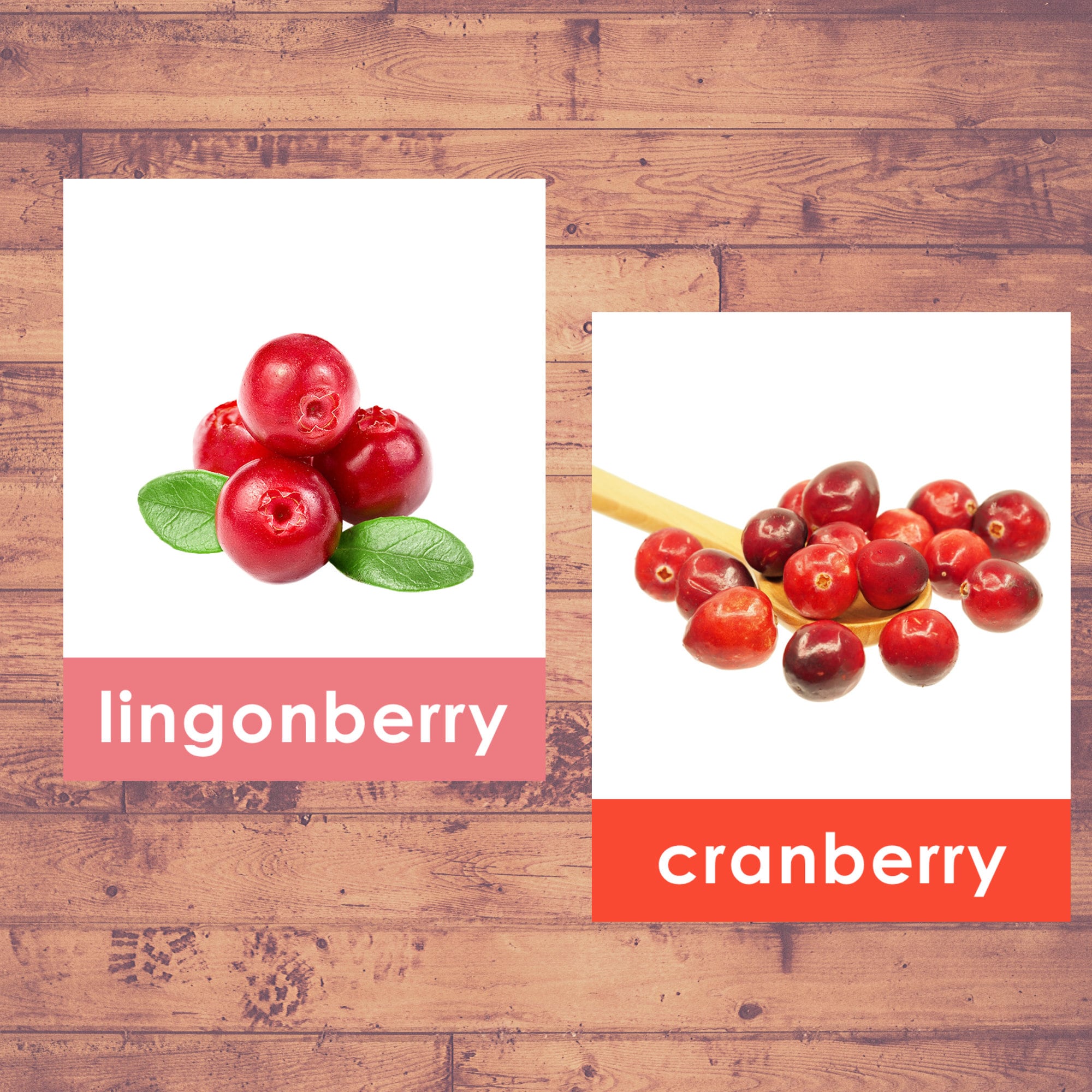 Berries Flashcards | Montessori Printable | Homeschool Preschool ...