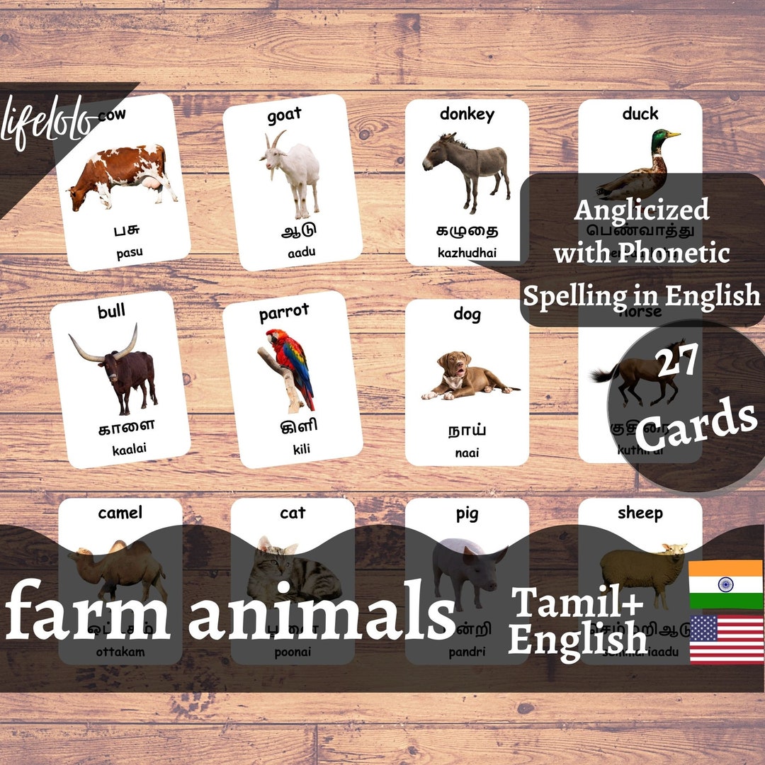 Farm Animals | TAMIL | English Bilingual Cards | 27 Tamil Language ...