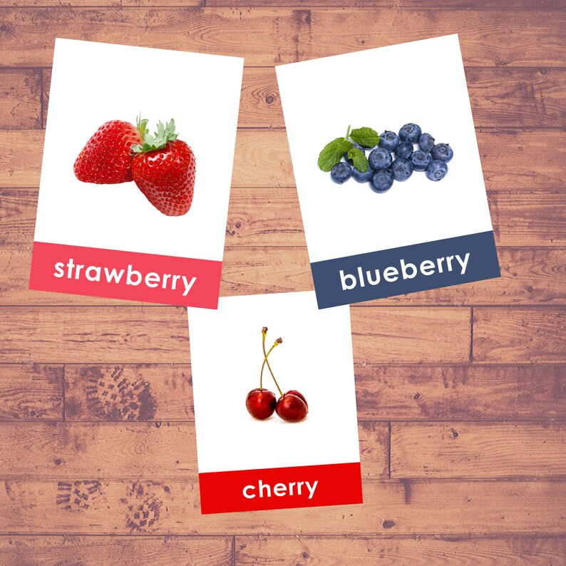 Berries Flashcards Montessori Printable Homeschool - Etsy