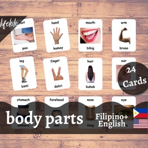 Body Parts (real) | FILIPINO| English Bilingual Cards | 24 Tagalog ...