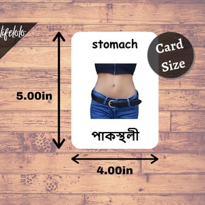 Body Parts (real) | BENGALI | English Bilingual Cards | 24 Bengali ...