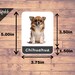 Dog Breeds Flash Cards - 31 Cards | Montessori Material | Homeschooling ...