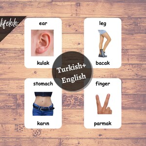 Body Parts (real) | TURKISH | English Bilingual Cards | 24 Turkish ...