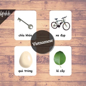 VIETNAMESE Flash Cards BUNDLE - Vietnamese English Bilingual Cards ...