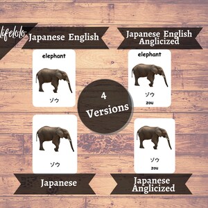 Wild Animals Japanese English Bilingual Cards, Montessori Printable ...